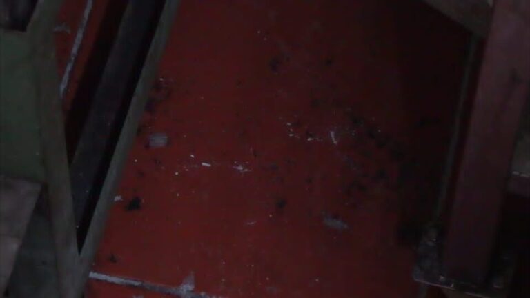 Disebabkan tahi tikus, tiga kilang roti ditutup - Deasoka