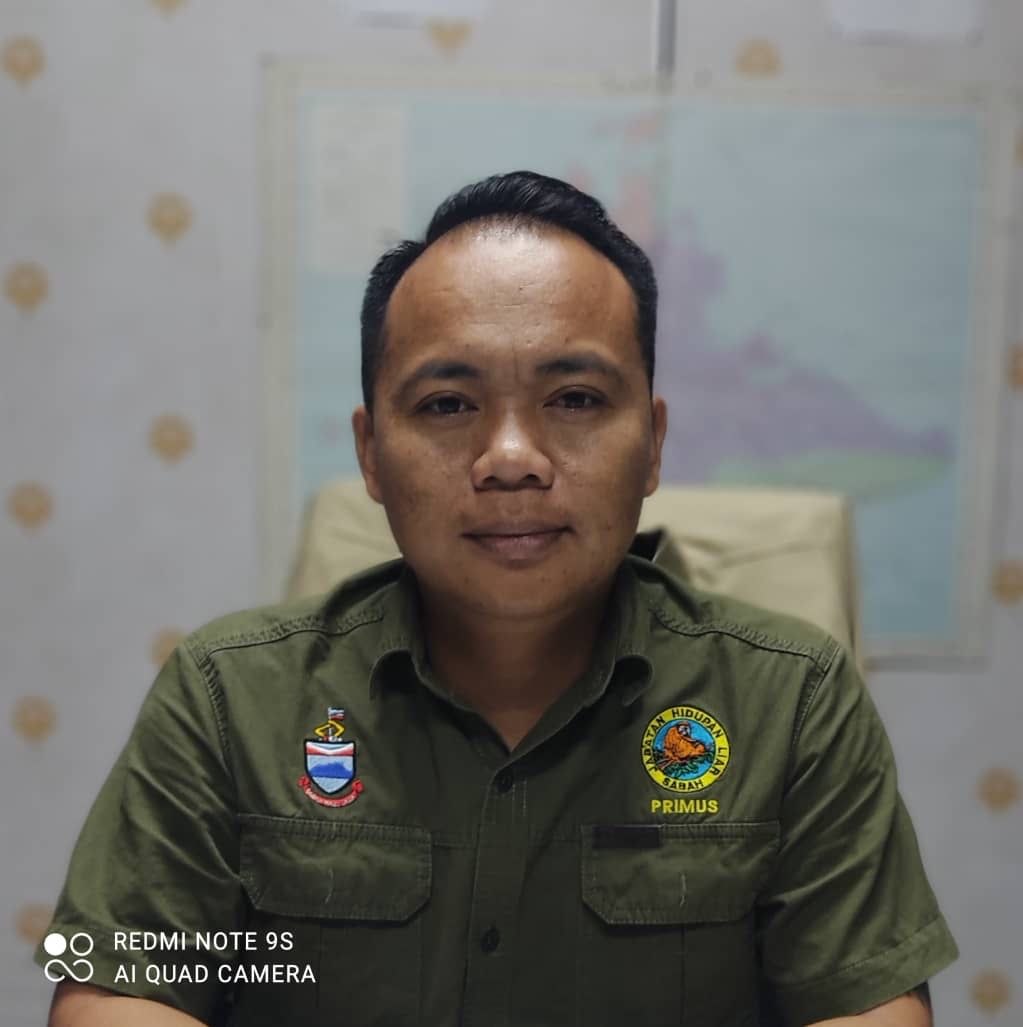 Kawanan gajah di Jalan Sapulut-Kalabakan: Orang ramai dinasihat berhati ...